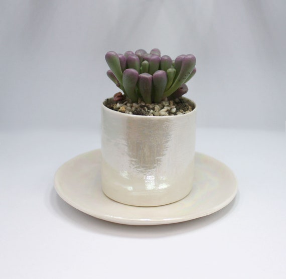 Pearl Plant Pot
