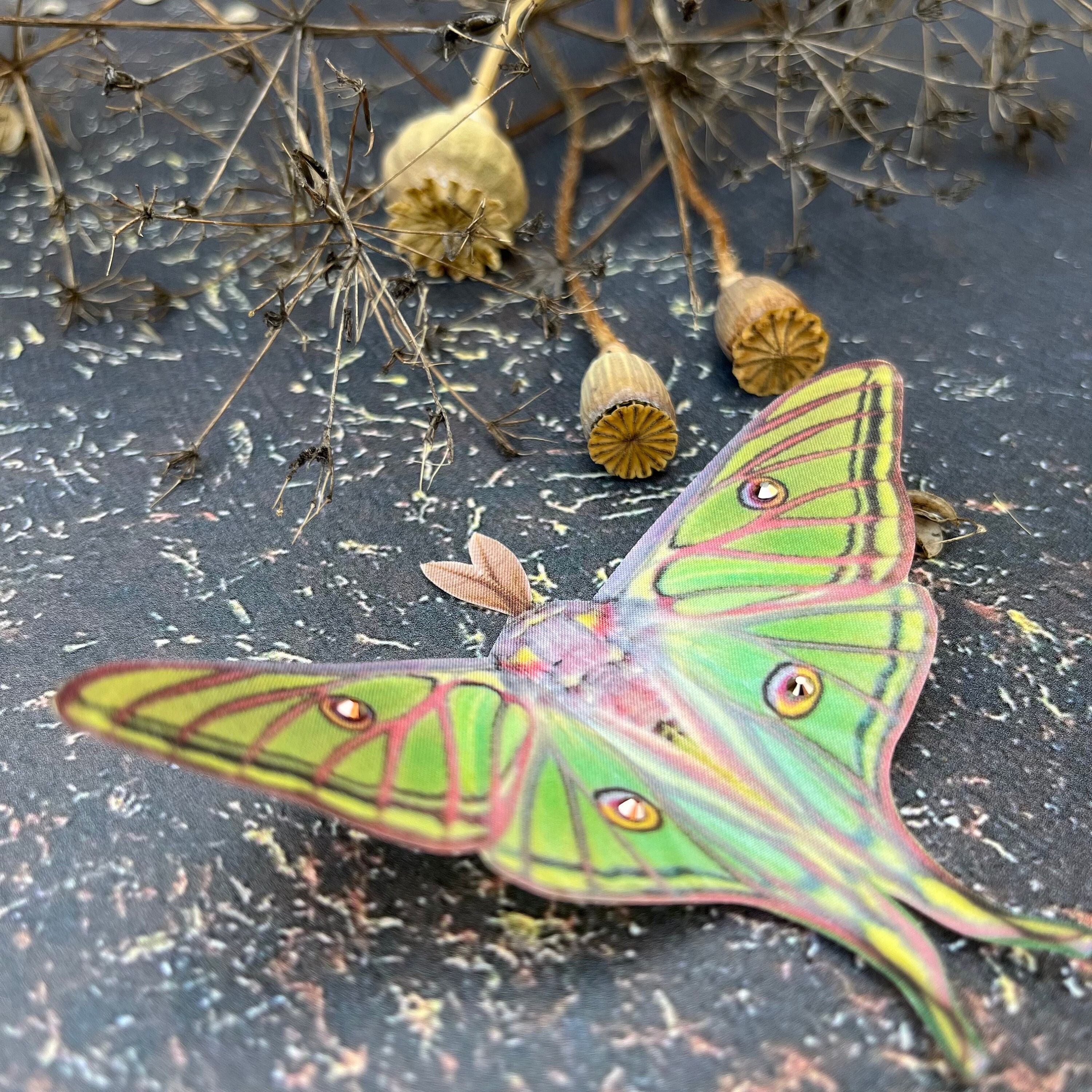 Spanish Moon Moth Tattoo