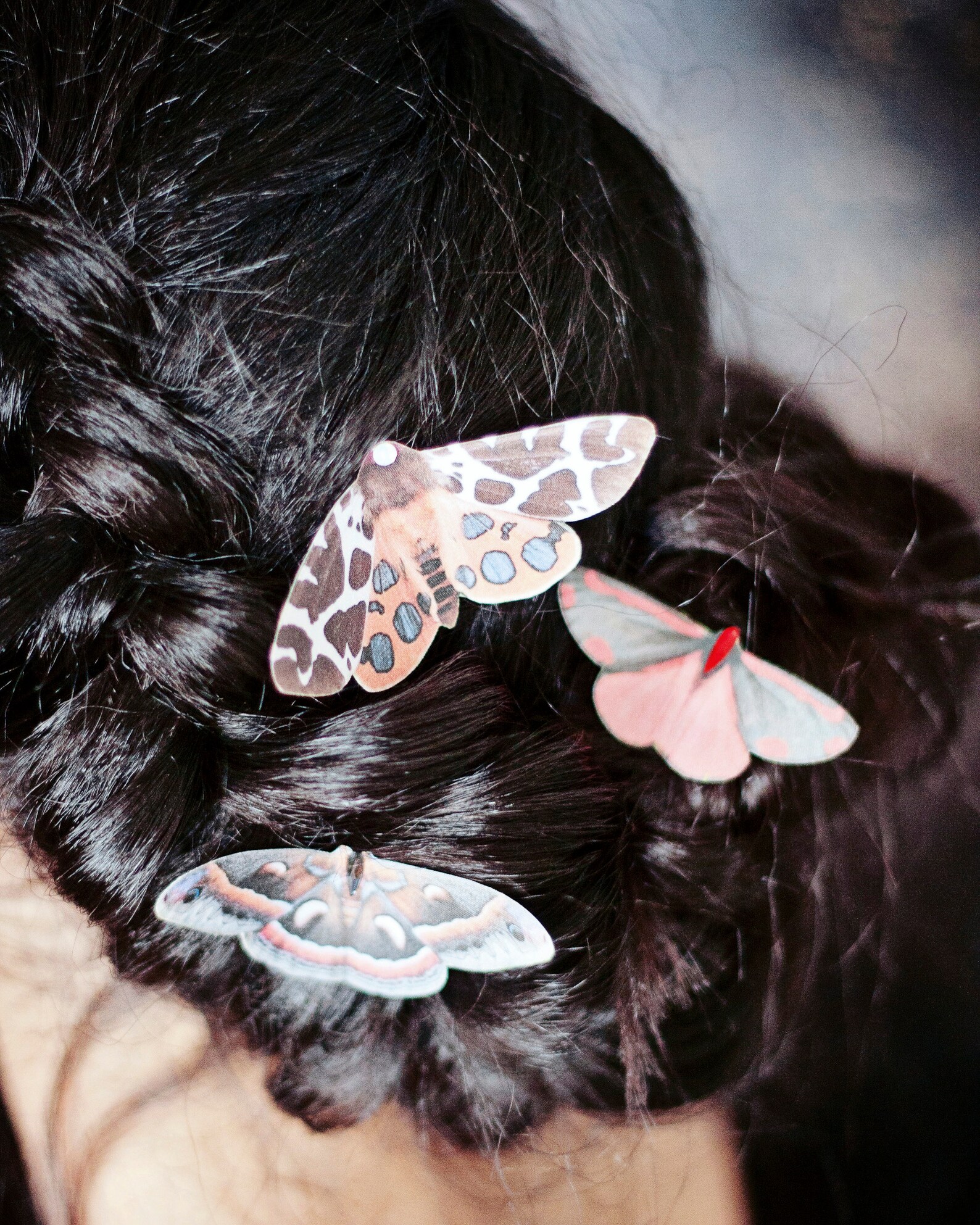 Moth Hair Clips Made From Silk With Swarovski Crystals Set of - Etsy