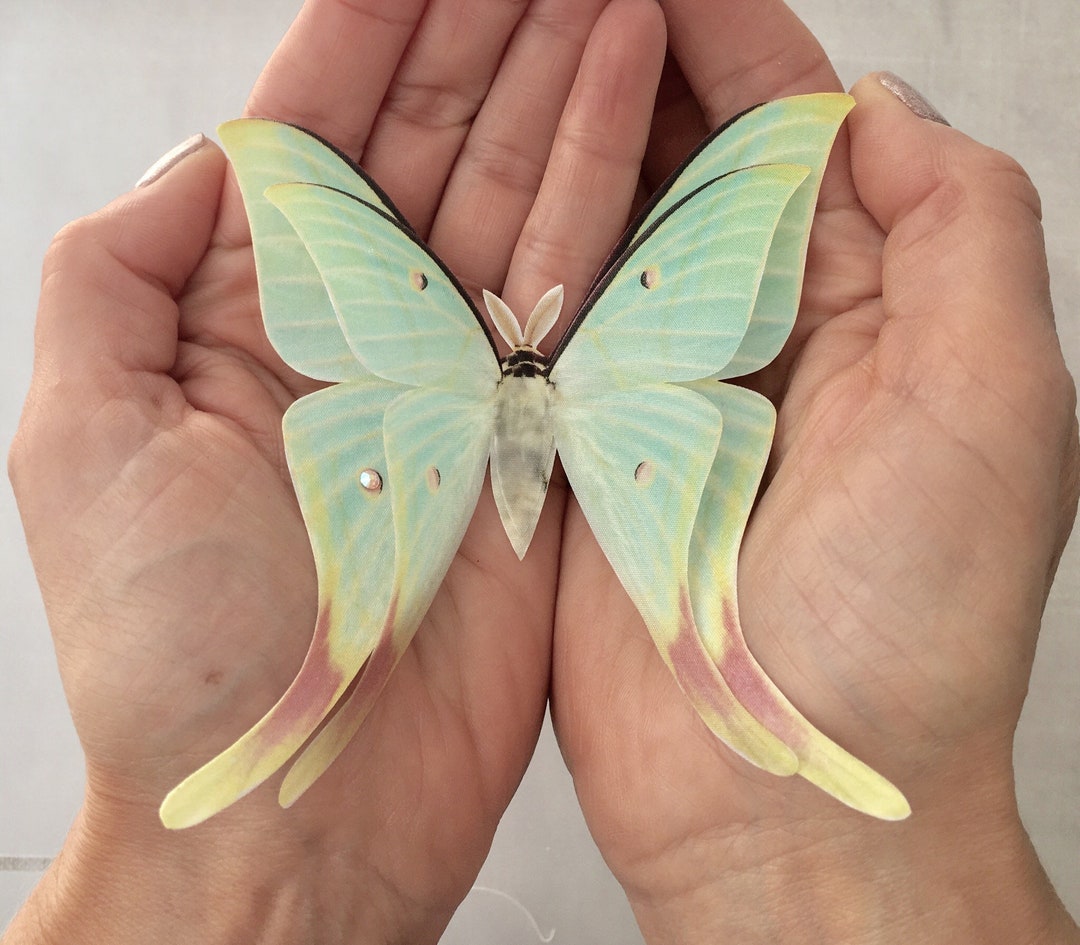 Green Moon Moth Hair Clip - Silk and Crystals, 9cm Wingspan. - Etsy
