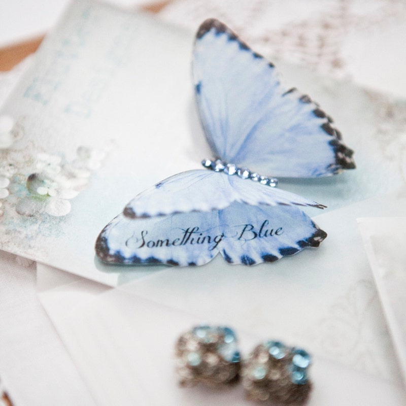 Blue Butterfly - Etsy