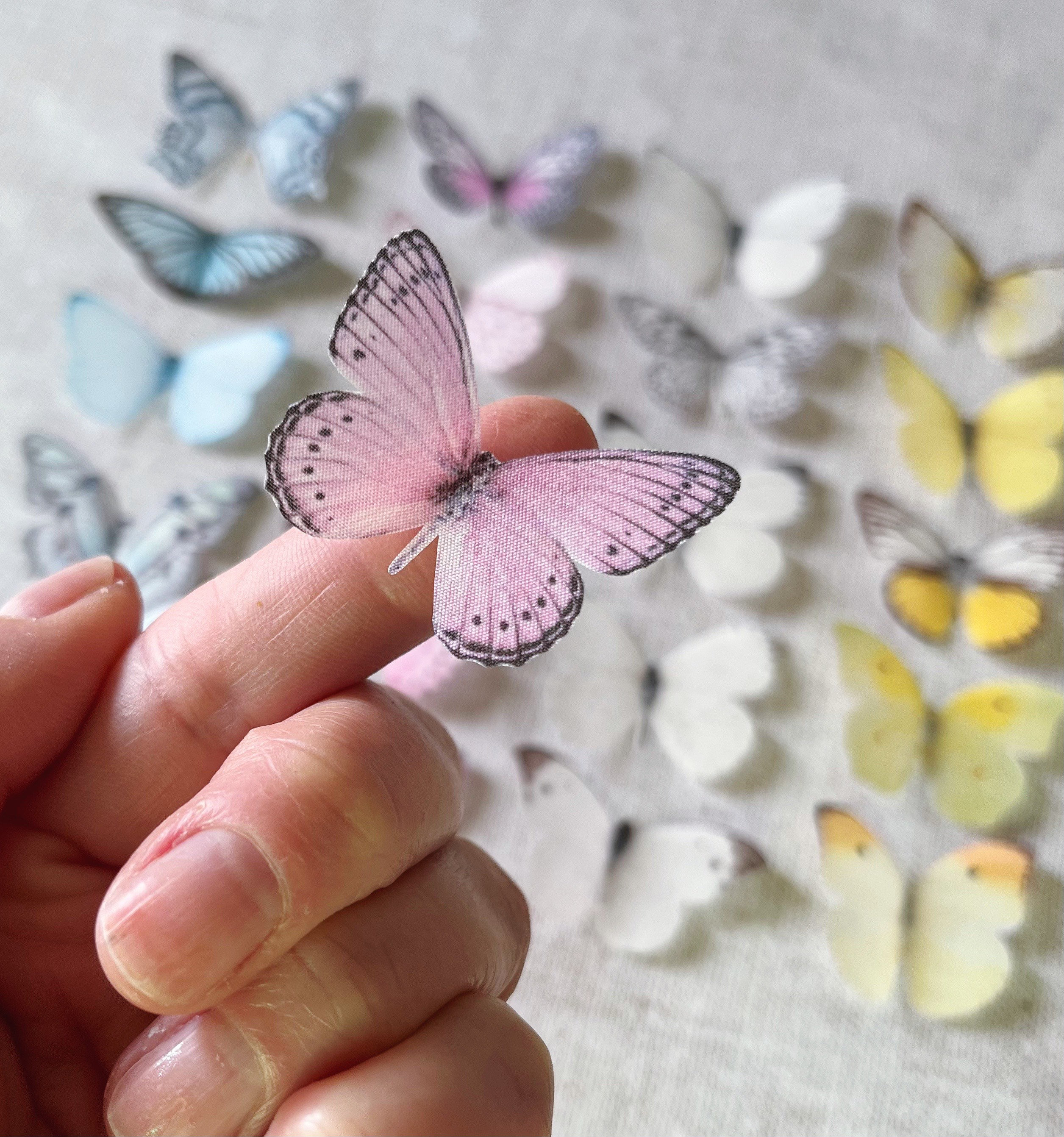 Tiny Silk Butterflies for Crafting - Pastel Colours, 3cm Wingspans. Set ...