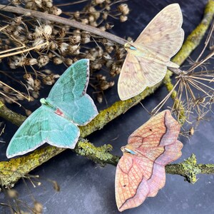 Colourful Moth Hair Clips - Silk & Crystal, 6cm Wingspans, Set of 3 - Etsy