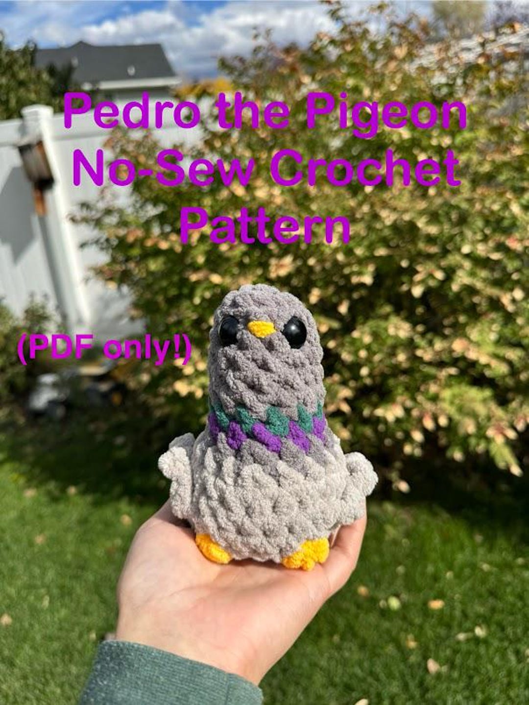 No-sew Pedro the Pigeon Crochet Pattern: Experienced Beginner Friendly ...
