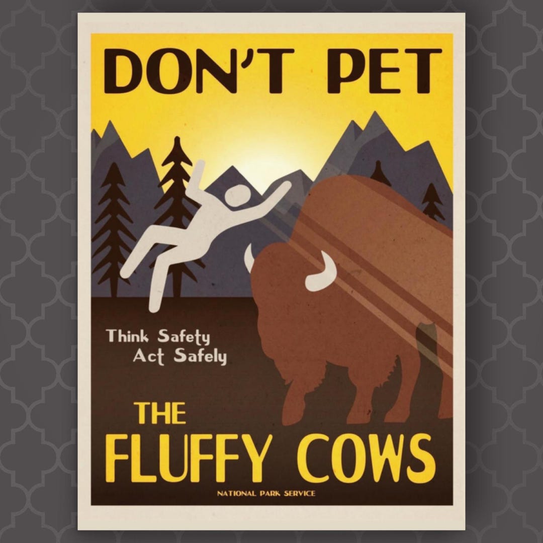Don’t Pet the Fluffy Cows Poster National Park Service Buffalo Safety ...