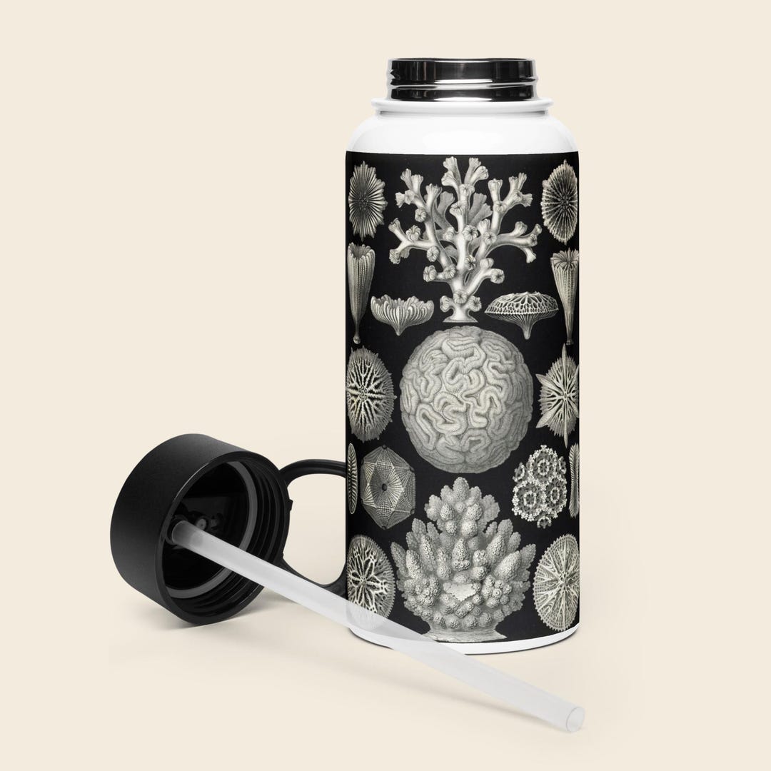 Science Water Bottle Sophisticated Beach House Decor Oceanic Art Water ...