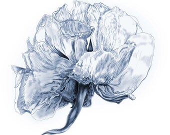 Botanical Flower Illustration Blue White Floral Drawing | Etsy