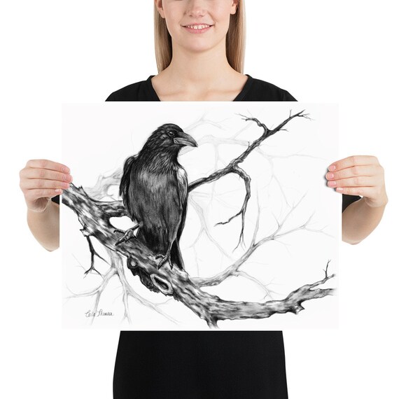 Crow And Tree Drawings In Pencil