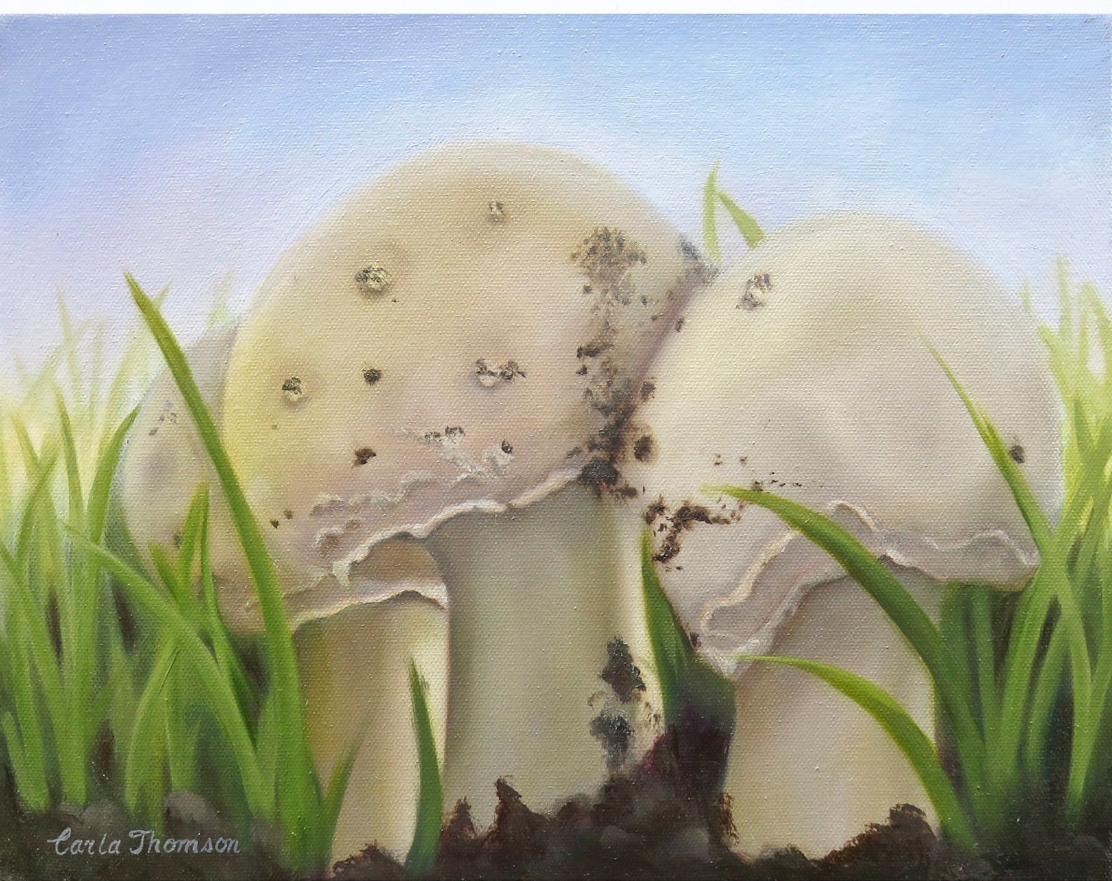 Toadstool Art PRINT of an Original Painting of Three Colorful - Etsy