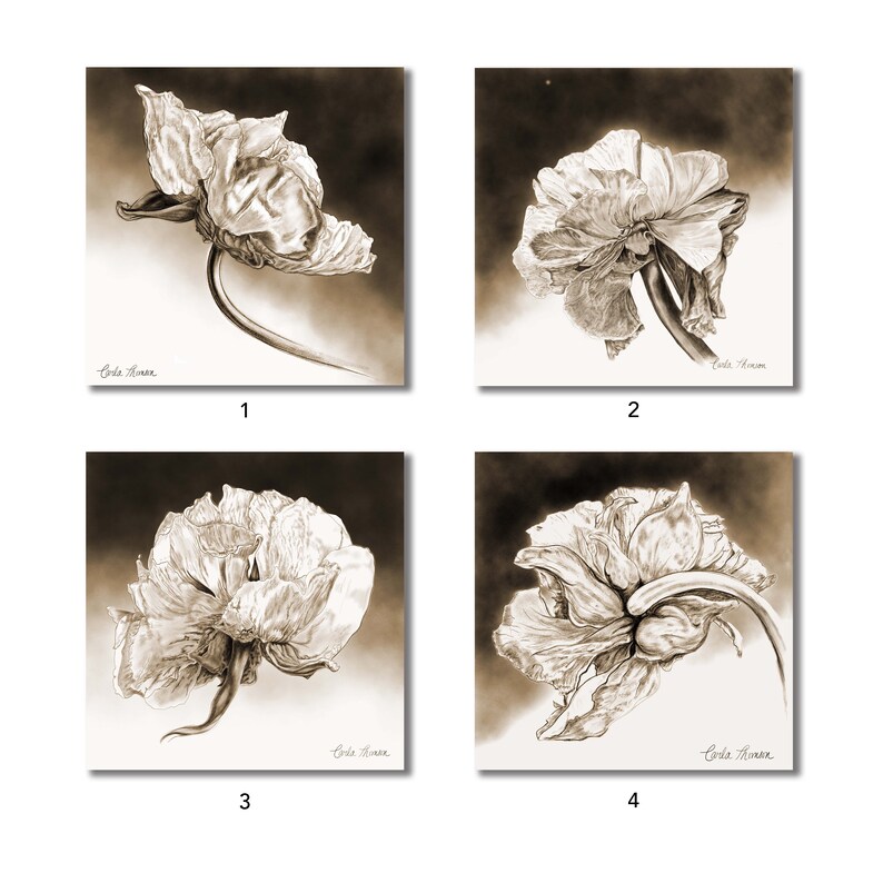Floral Art Print, Sepia Botanical Flower Illustration, Minimalist ...