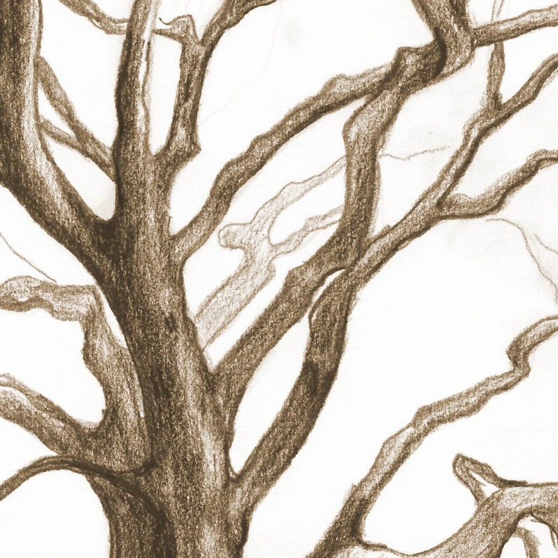 Sepia Tone Tree of Life Wall Art Print , Branches Charcoal Drawing ...