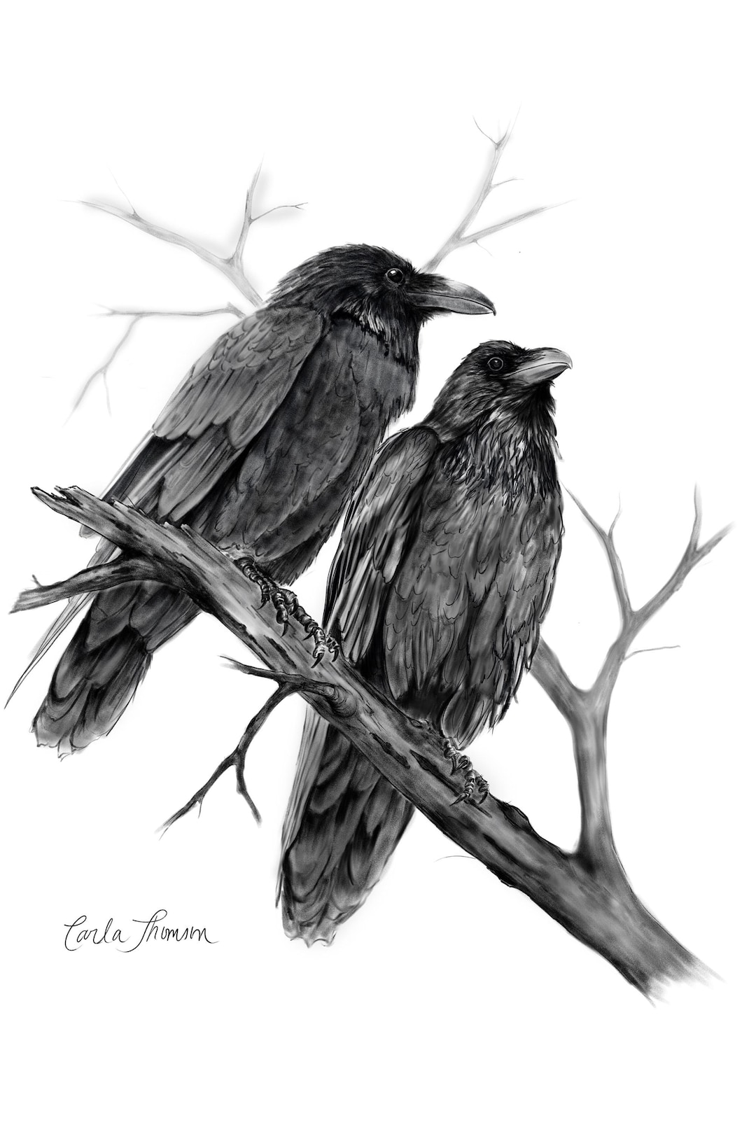 Two Ravens Charcoal Drawing – Gothic Bird Art Print – Nature-inspired ...