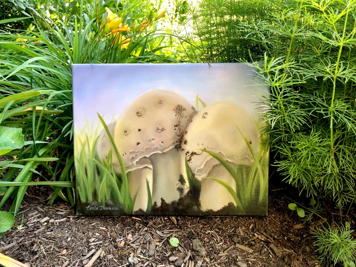 Toadstool Art PRINT of an Original Painting of Three Colorful - Etsy