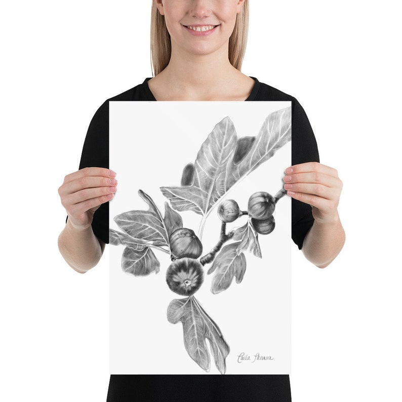 Art Print of Fig Tree Drawing, Original Drawing in Charcoal Botanical ...