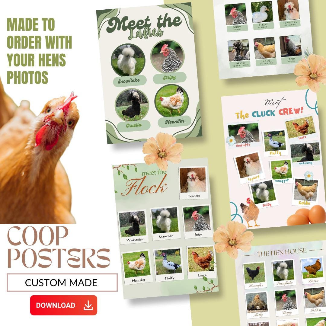 Chicken Coop Hen House Posters Decor Design Gift Ideas Signs Flock ...