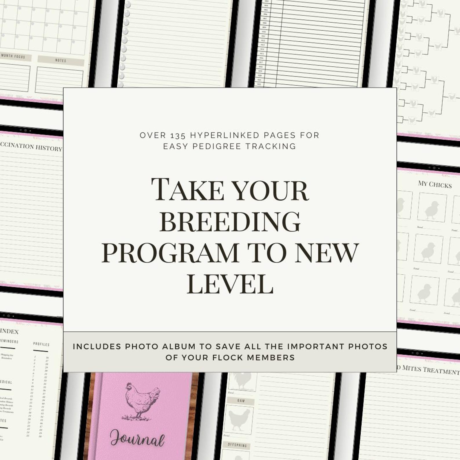 Chicken Fanciers Poultry Breeding Digital Planner, Journal, Pedigree ...