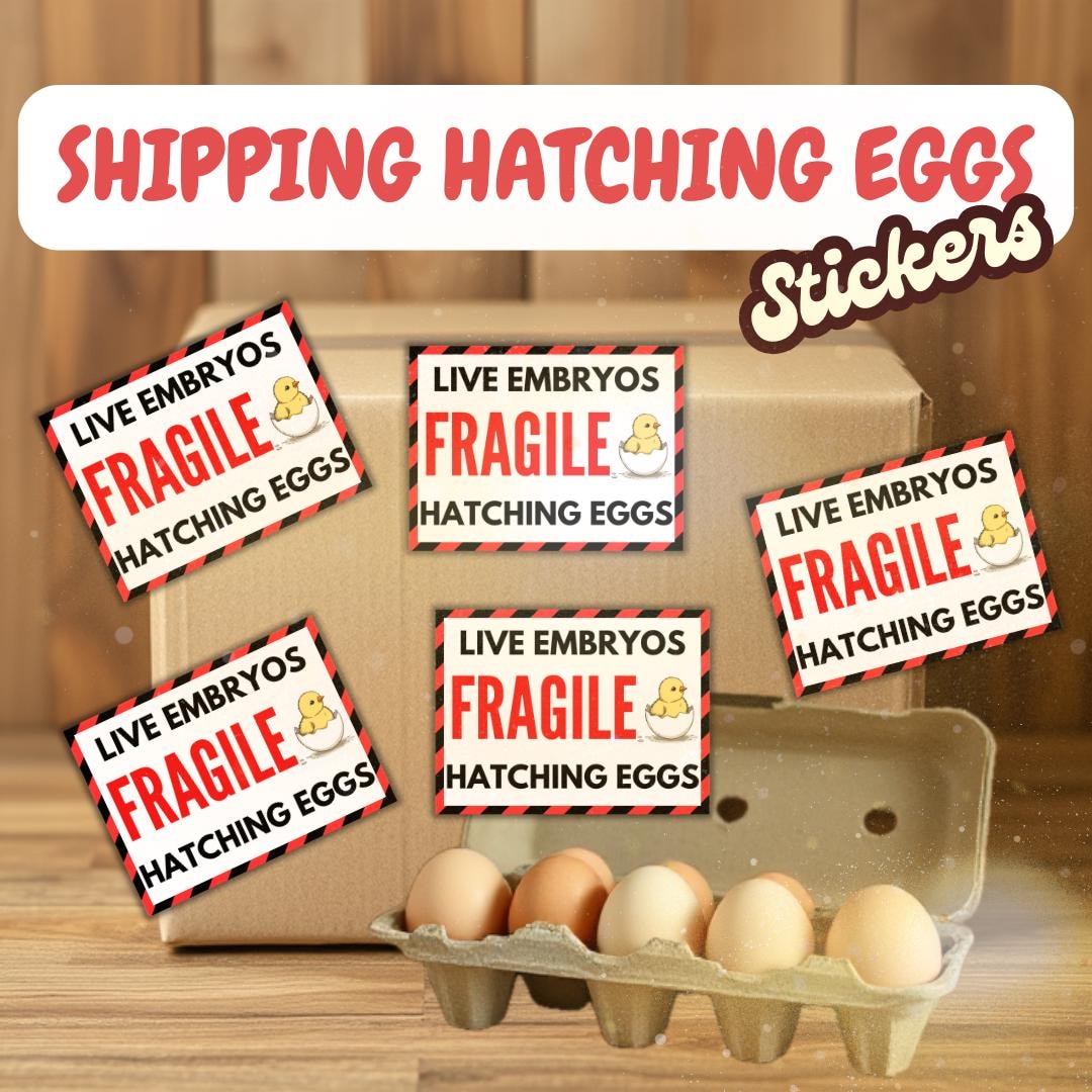 10 Pc Fragile Stickers for Shipping Fertile Hatching Eggs Chicks Handle ...