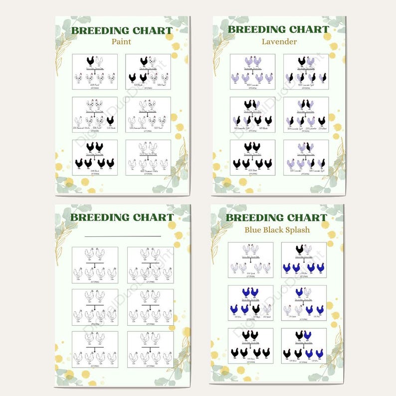 Lavender BBS Paint Ermine Charts Chicken Breeding Colour Posters ...