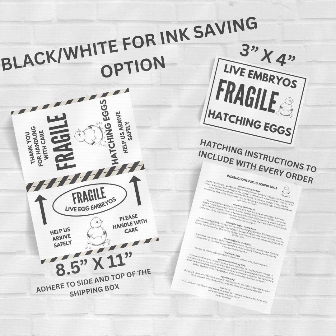 Fragile Stickers Shipping Hatching Fertile Eggs Printable Digital ...