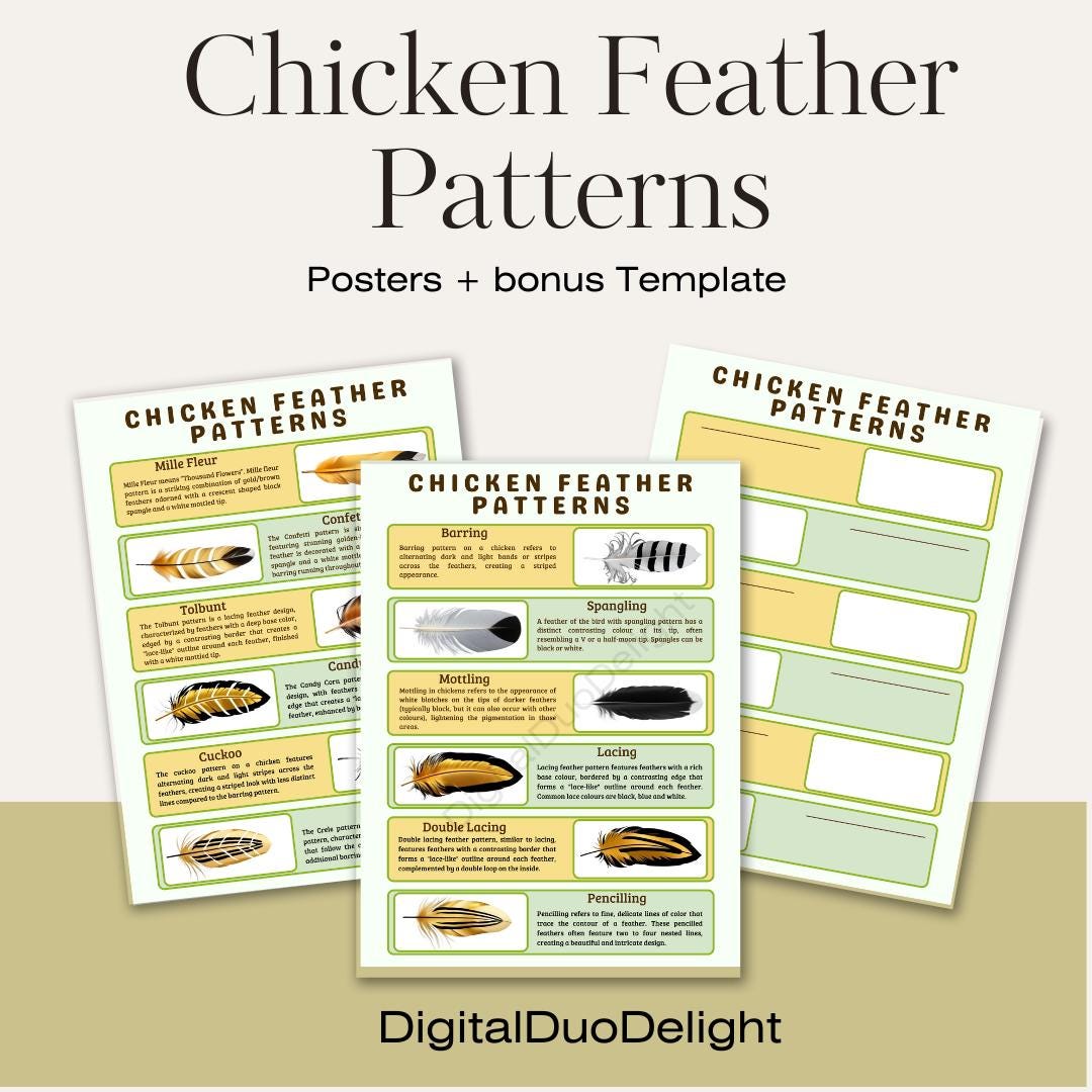 Chicken Feather Color Poster Identification Poultry Patterns Charts ...
