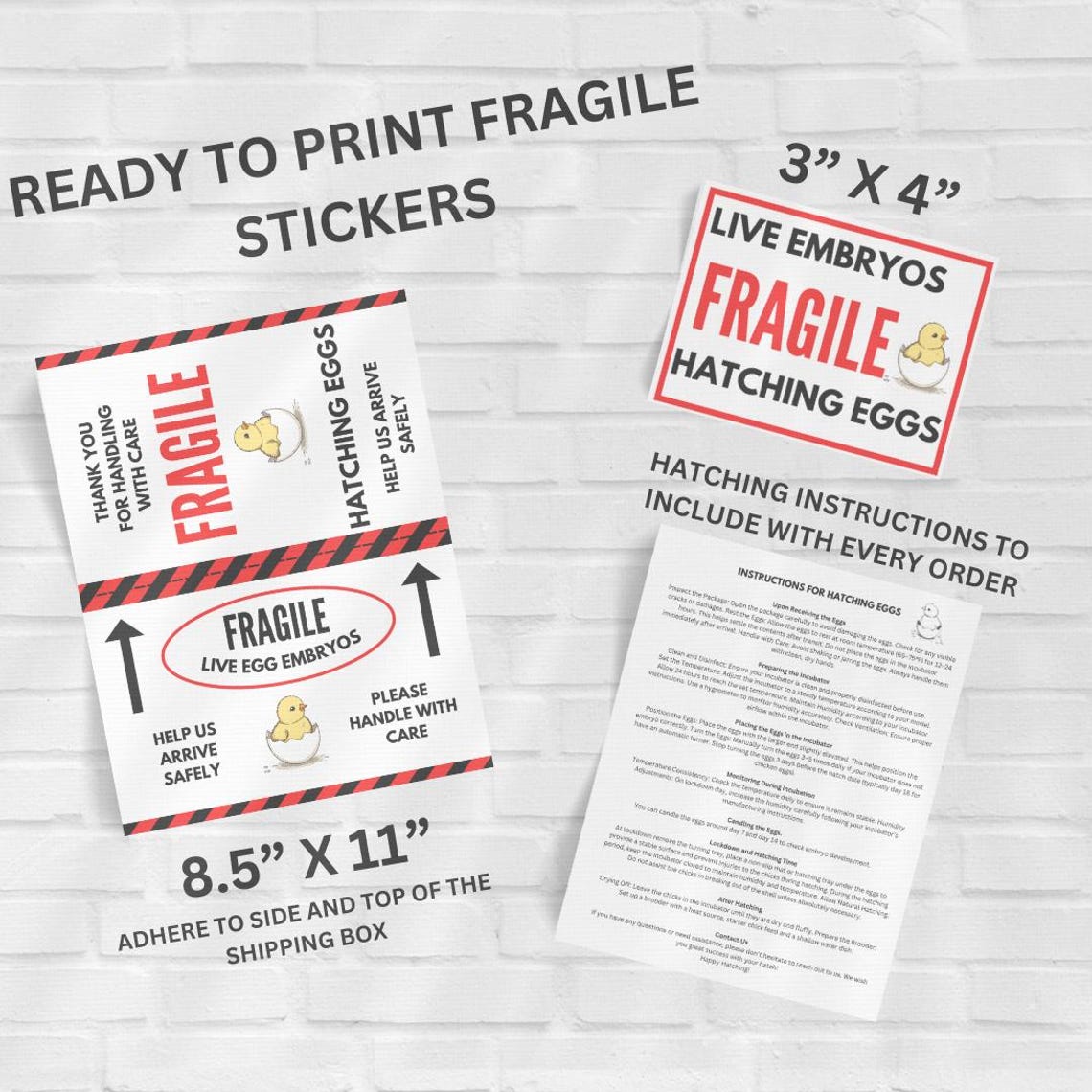 Fragile Stickers Shipping Hatching Fertile Eggs Printable Digital ...