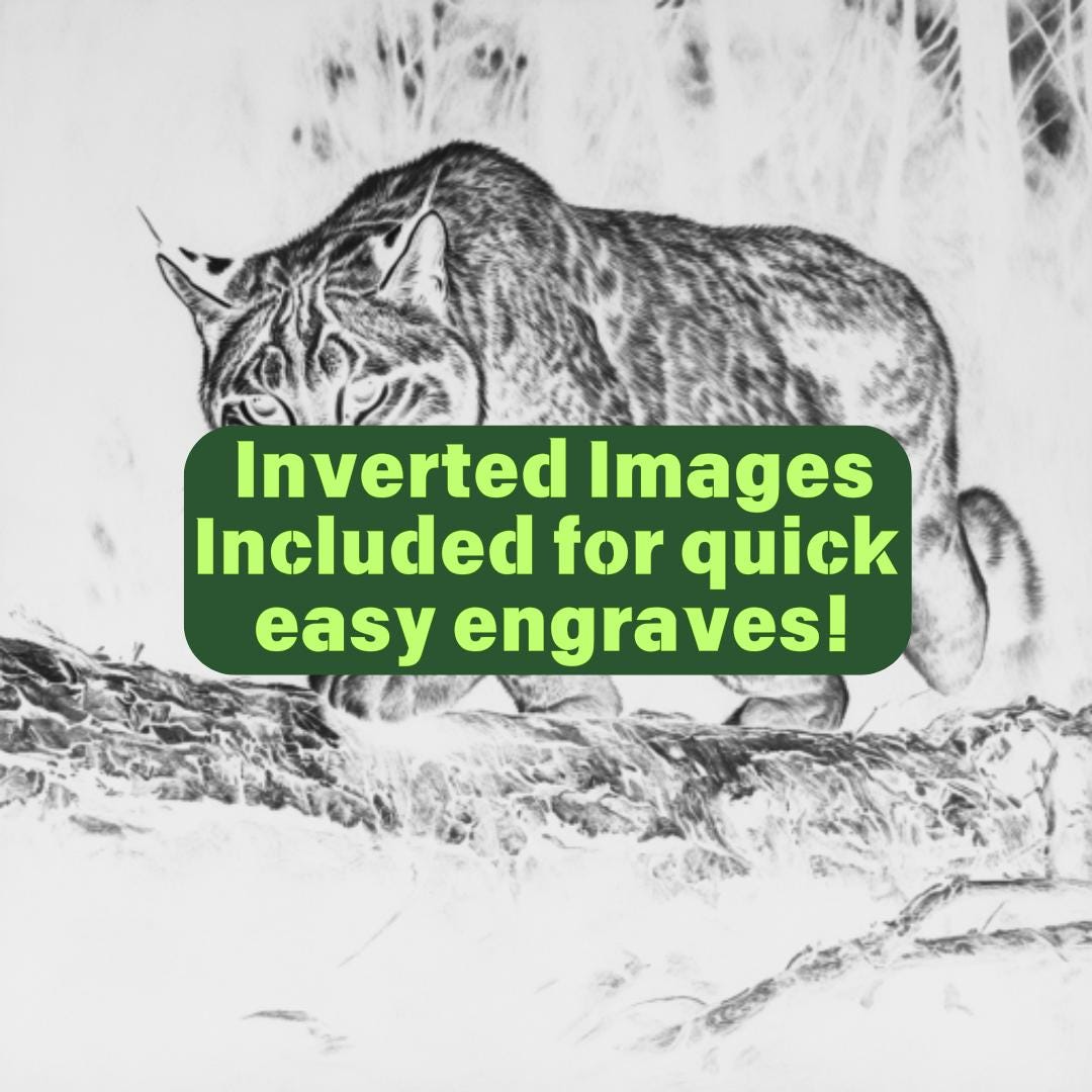 16 Wildlife Mountain Art PNG Bundle Laser Engraving Files for Slate or ...