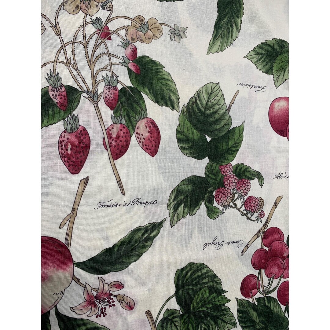 Vintage Fruit & Botanical Print Fabric 1/2 Yard Cotton - Etsy