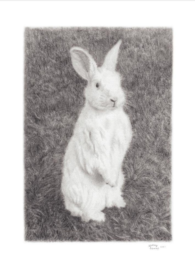 George 5x7 Rabbit Pencil Drawing Art Print - Etsy