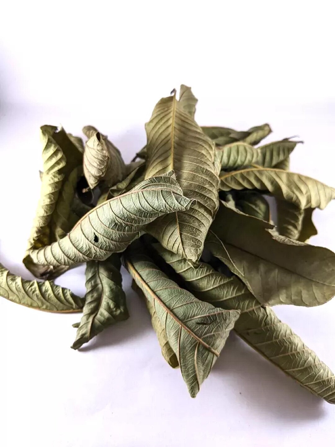 Premium Sun Dried Guava Leaves Hojas De Guayaba Leaf Tea - Etsy