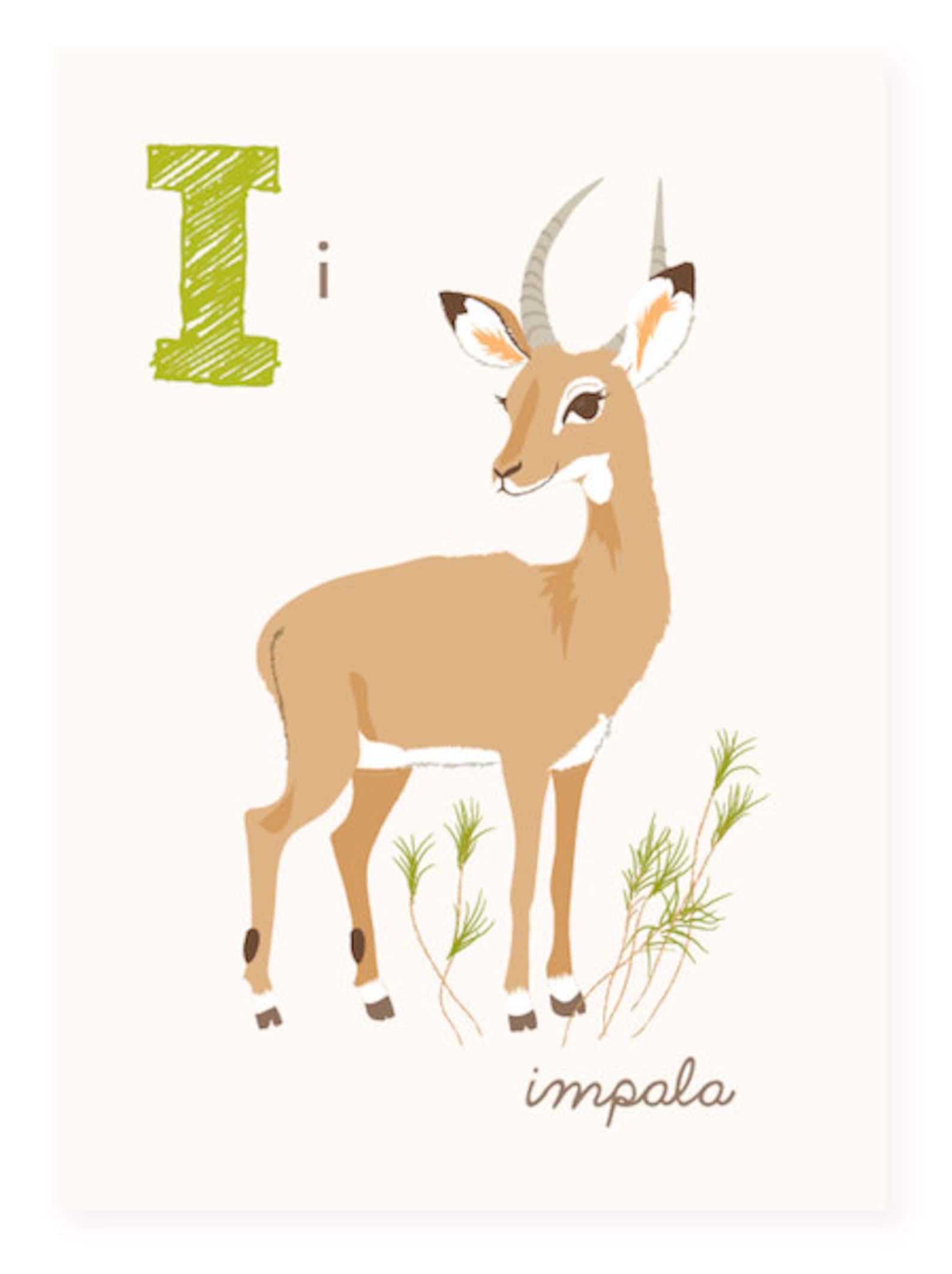 ABC Card I is for Impala Safari ABC Wall Art Alphabet - Etsy