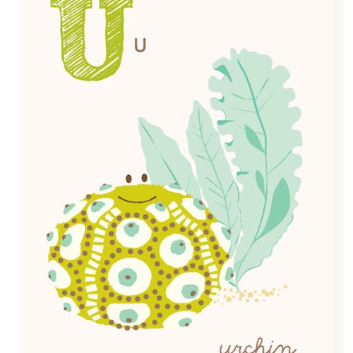 ABC Card K is for Krill ABC Wall Art Alphabet Flash Cards - Etsy