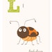L is for Ladybug, ABC Wall Art, Alphabet Flash Cards, Nursery Wall ...