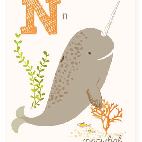 ABC Card K is for Krill ABC Wall Art Alphabet Flash Cards - Etsy