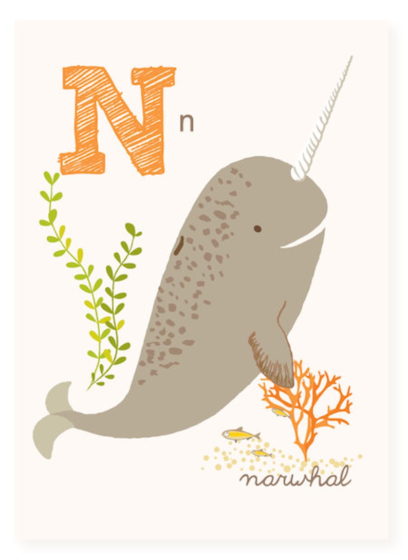 ABC Wall Art ABC Card N is for Narwhal Alphabet Flash - Etsy