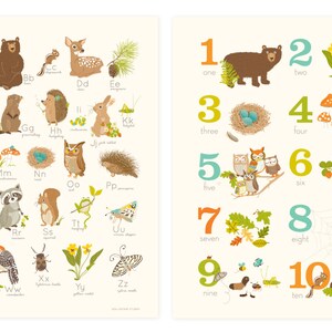 WOODLAND Forest Alphabet Abc | 123- Nursery Wall Art for Kids | Baby ...