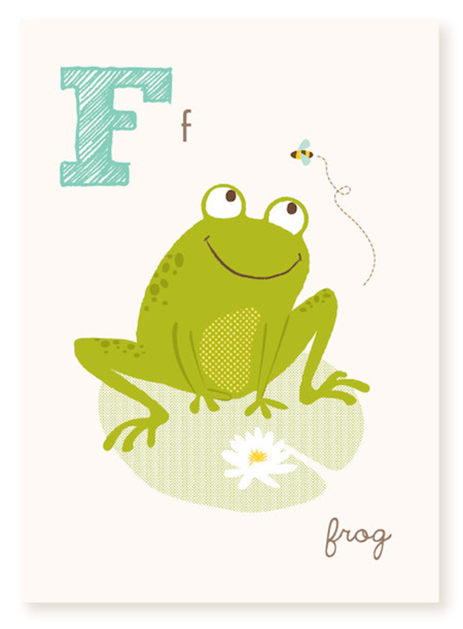ABC Wall Art ABC Card F is for Frog Alphabet Flash Cards - Etsy