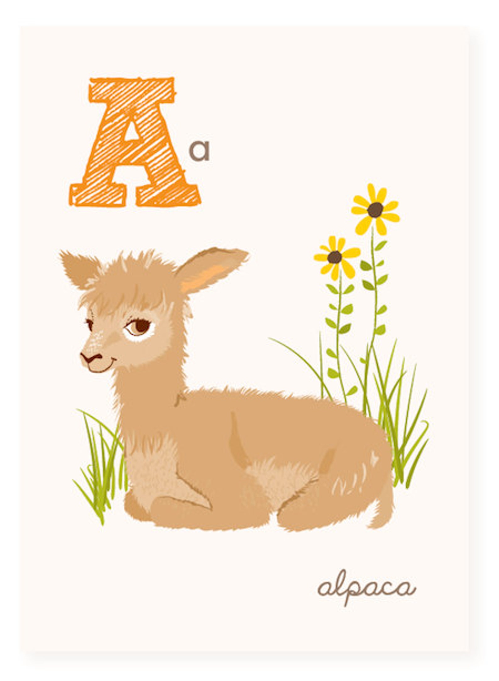 ABC Wall Art ABC Card A is for Alpaca Alphabet Flash Cards - Etsy