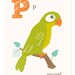 ABC Card P is for Parrot ABC Wall Art Alphabet Flash Cards - Etsy