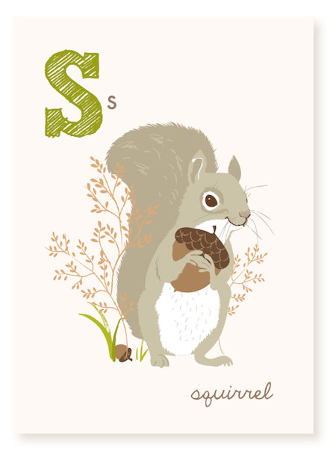 ABC Card S is for Squirrel ABC Wall Art Alphabet Flash - Etsy