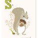 ABC Card, S is for Squirrel, ABC Wall Art, Alphabet Flash Cards ...