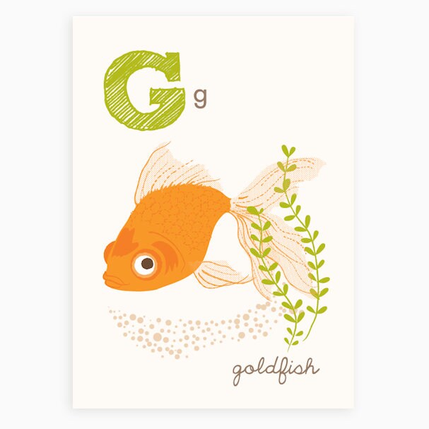 ABC Card G is for Giraffe Gull Goldfish Groundhog | Etsy