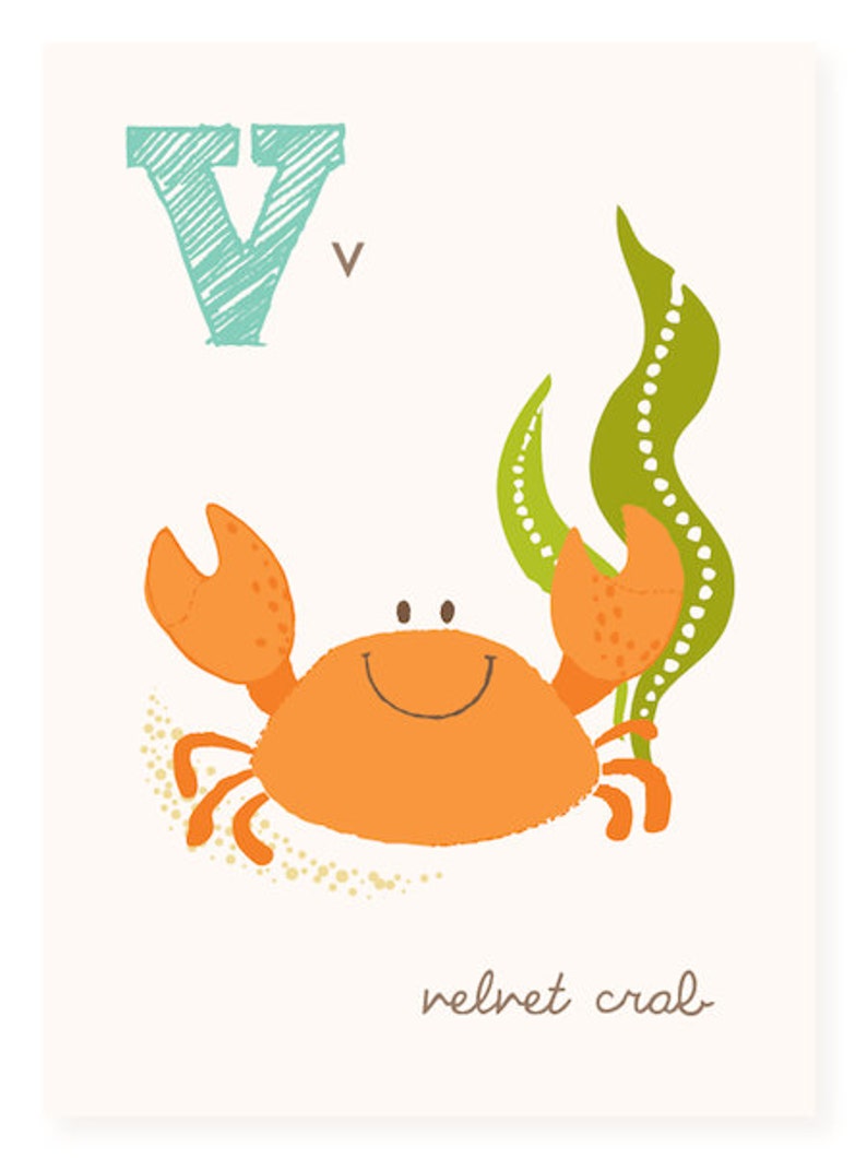 ABC Card V is for Velvet Crab ABC Wall Art Alphabet Flash - Etsy