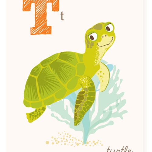 ABC Card K is for Krill ABC Wall Art Alphabet Flash Cards - Etsy