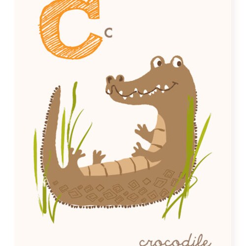 ABC Card K is for Krill ABC Wall Art Alphabet Flash Cards - Etsy