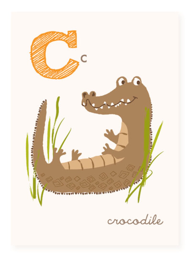 ABC Card C is for Crocodile ABC Wall Art Alphabet Flash - Etsy