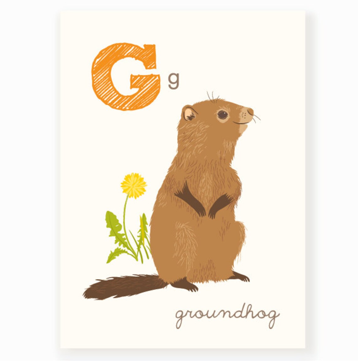 ABC wall art ABC card G is for Groundhog alphabet flash | Etsy
