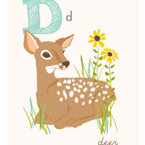 ABC Card K is for Krill ABC Wall Art Alphabet Flash Cards - Etsy