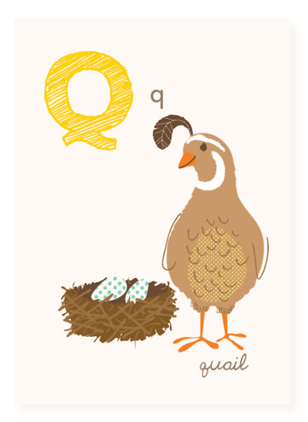 ABC Wall Art, Q is for Quail, ABC Wall Decor, Alphabet Flash Cards ...