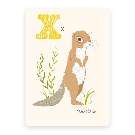 ABC Card X is for Xerus ABC Wall Art Alphabet Flash Cards | Etsy