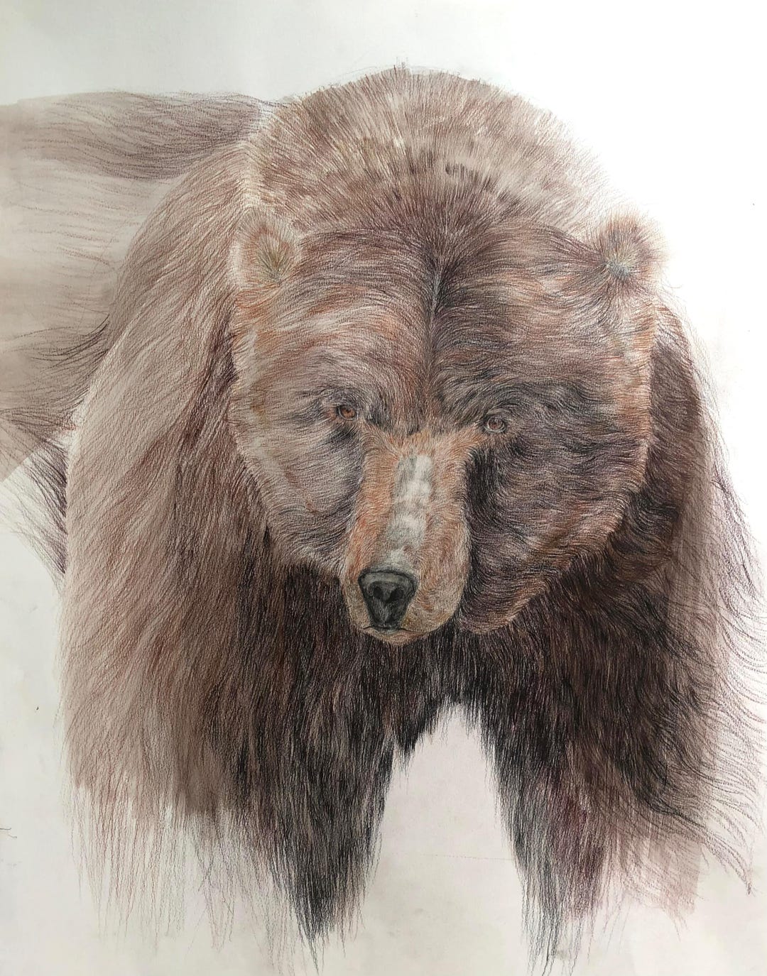 A3 Limited Fine Art Print, Bear, Power Animals, Illustration, Totems ...